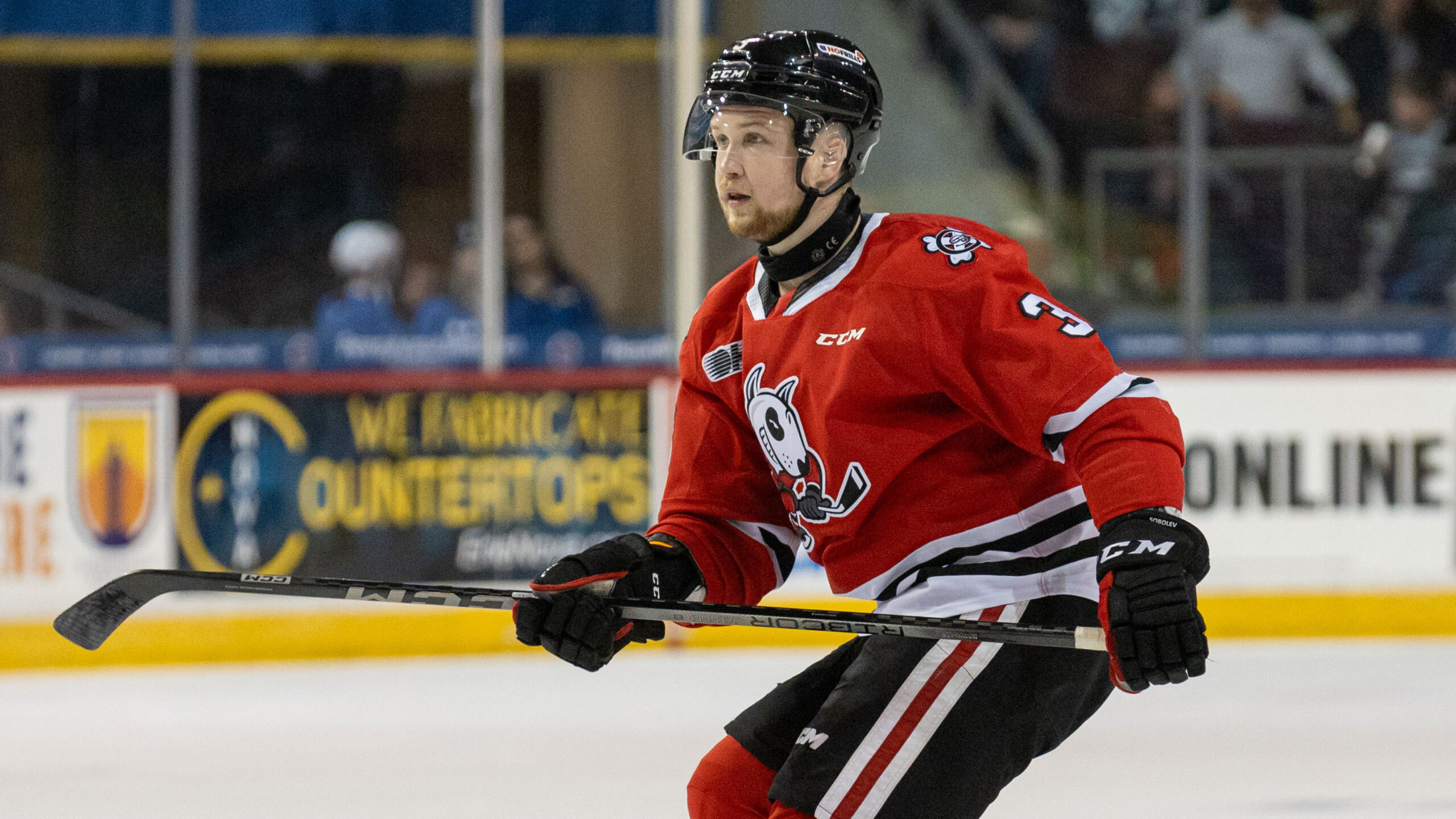 CHL Trades Archives | Canadian Hockey League