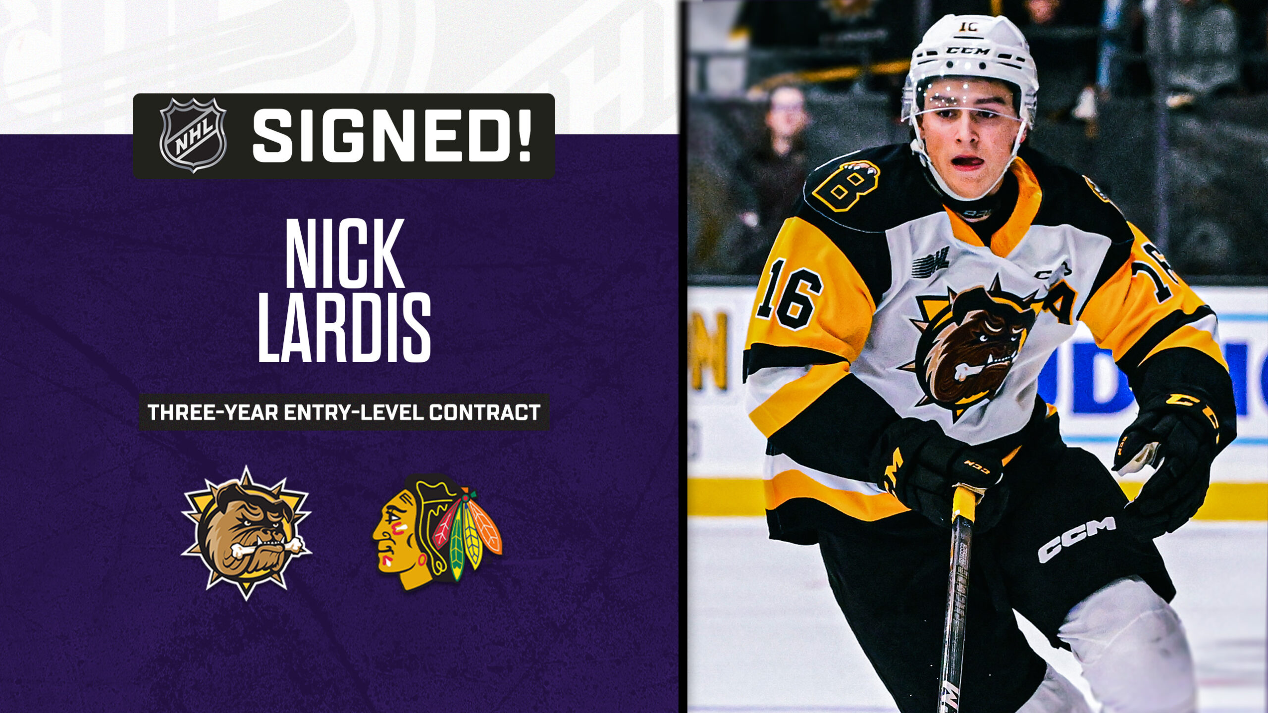 NHL entry-level contract Archives | Canadian Hockey League