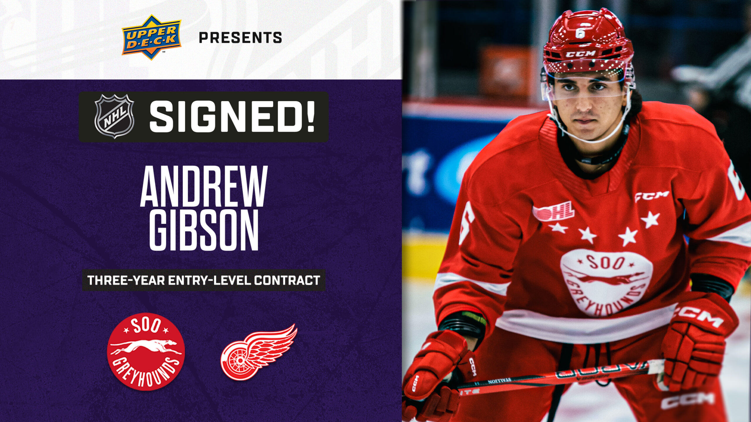 Gibson signs entry-level deal with Detroit | Canadian Hockey League