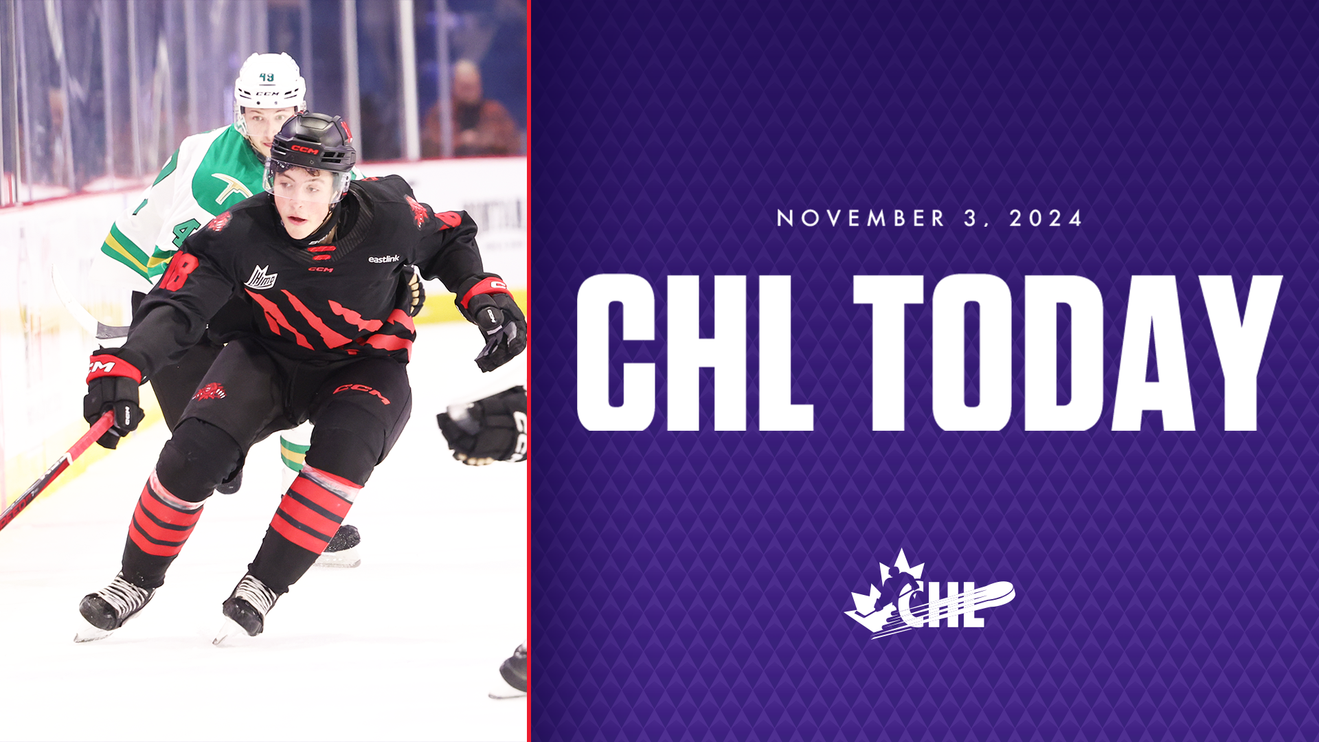 CHL Today: Desnoyers' career night powers no. 1 ranked Wildcats ...
