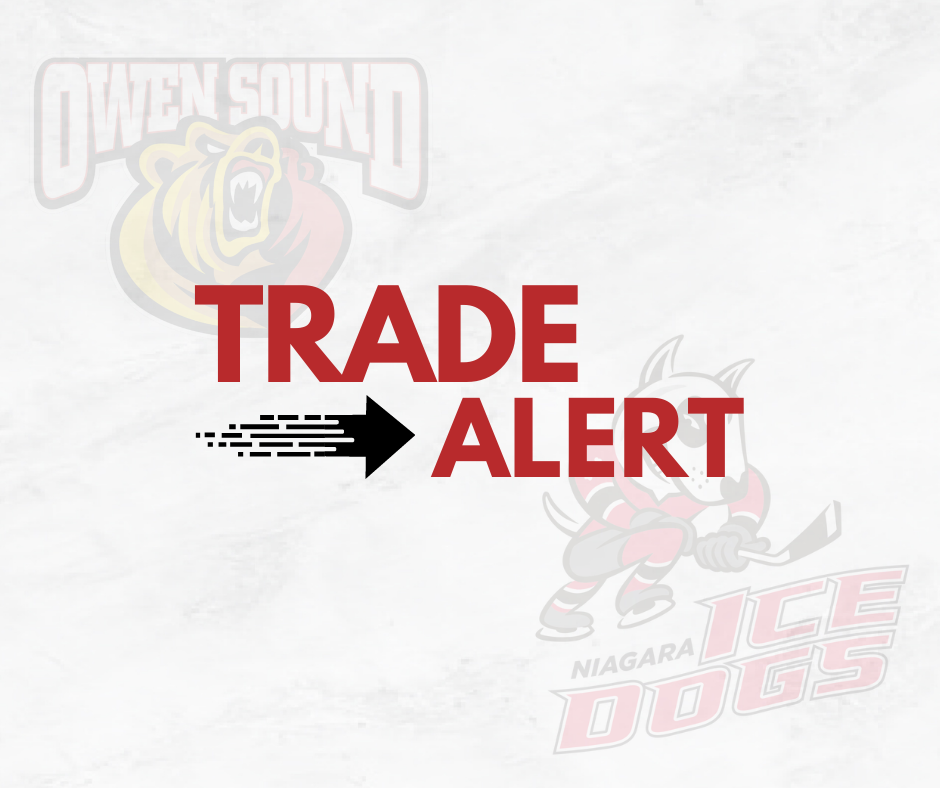 Attack Add Forward Declan Waddick in trade with Niagara Ice Dogs - Owen ...