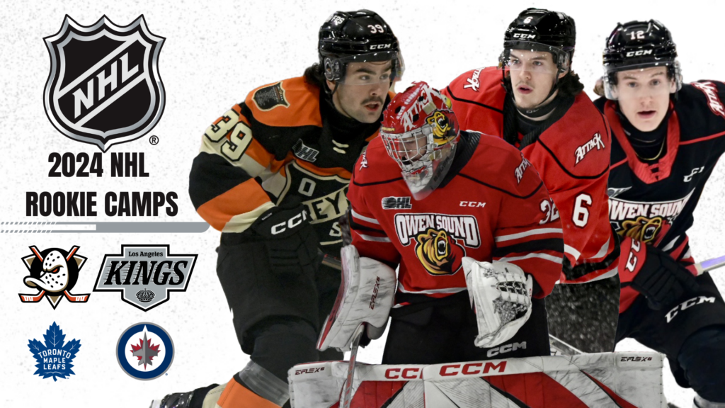 Bears Headed to NHL Rookie Camps - Owen Sound Attack