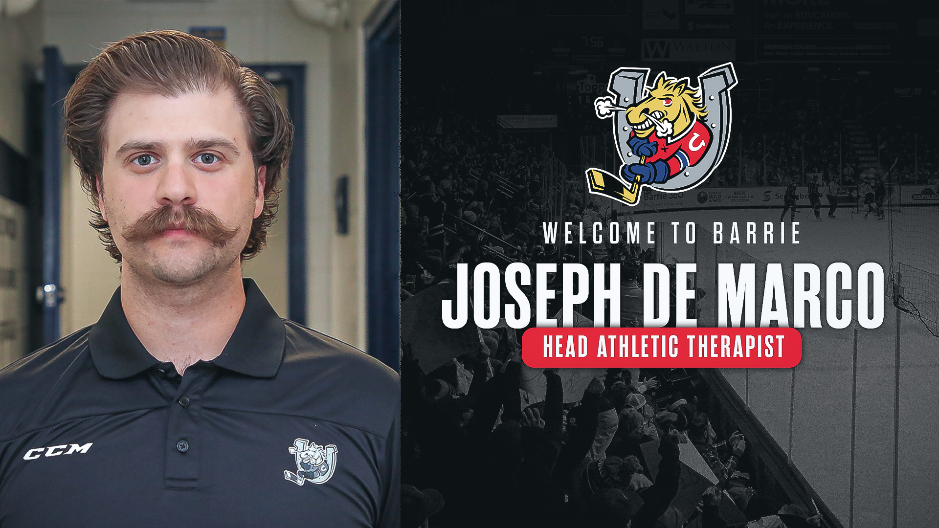 Joseph De Marco Joins Colts as Head Athletic Therapist - Barrie Colts