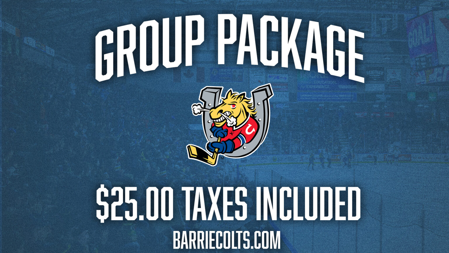 Colts Group Package - Barrie Colts