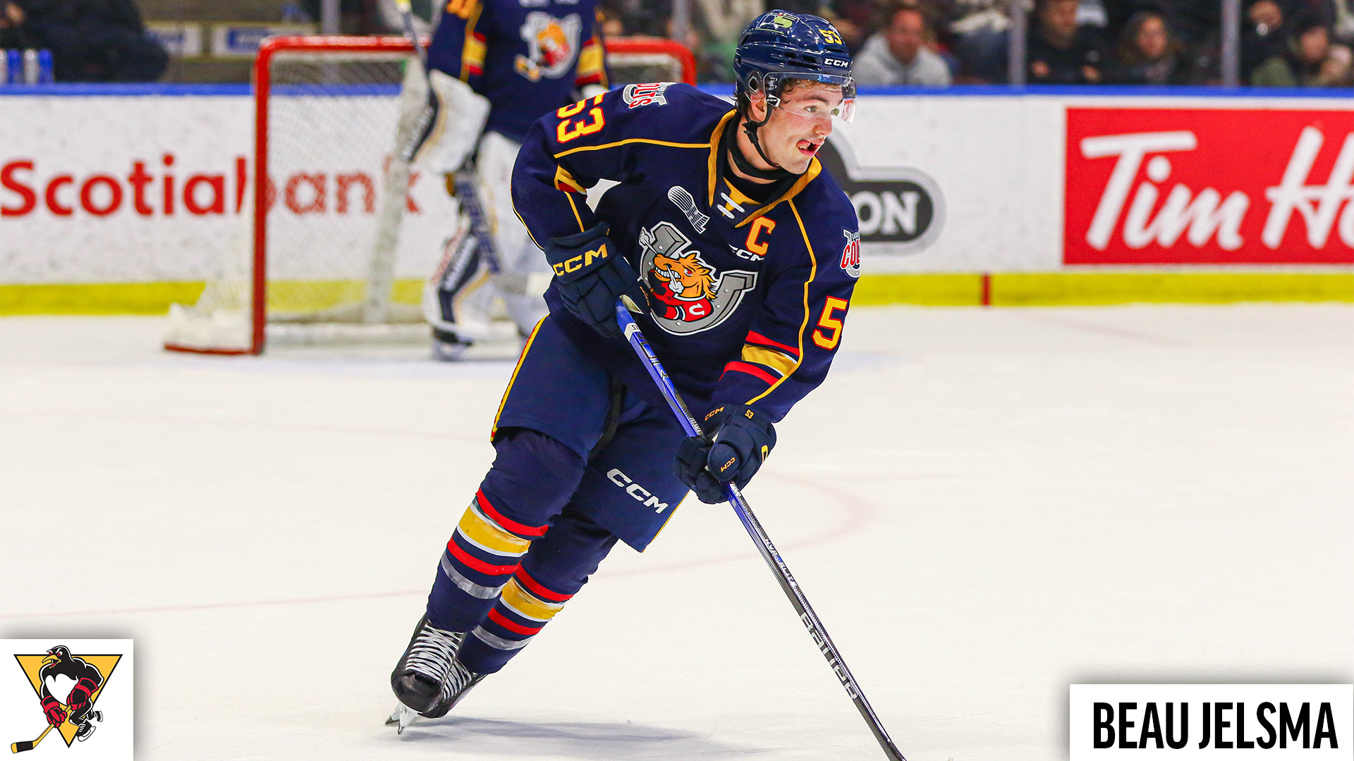 Beau Jelsma Signs ATO with Wilkes-Barre/Scranton - Barrie Colts