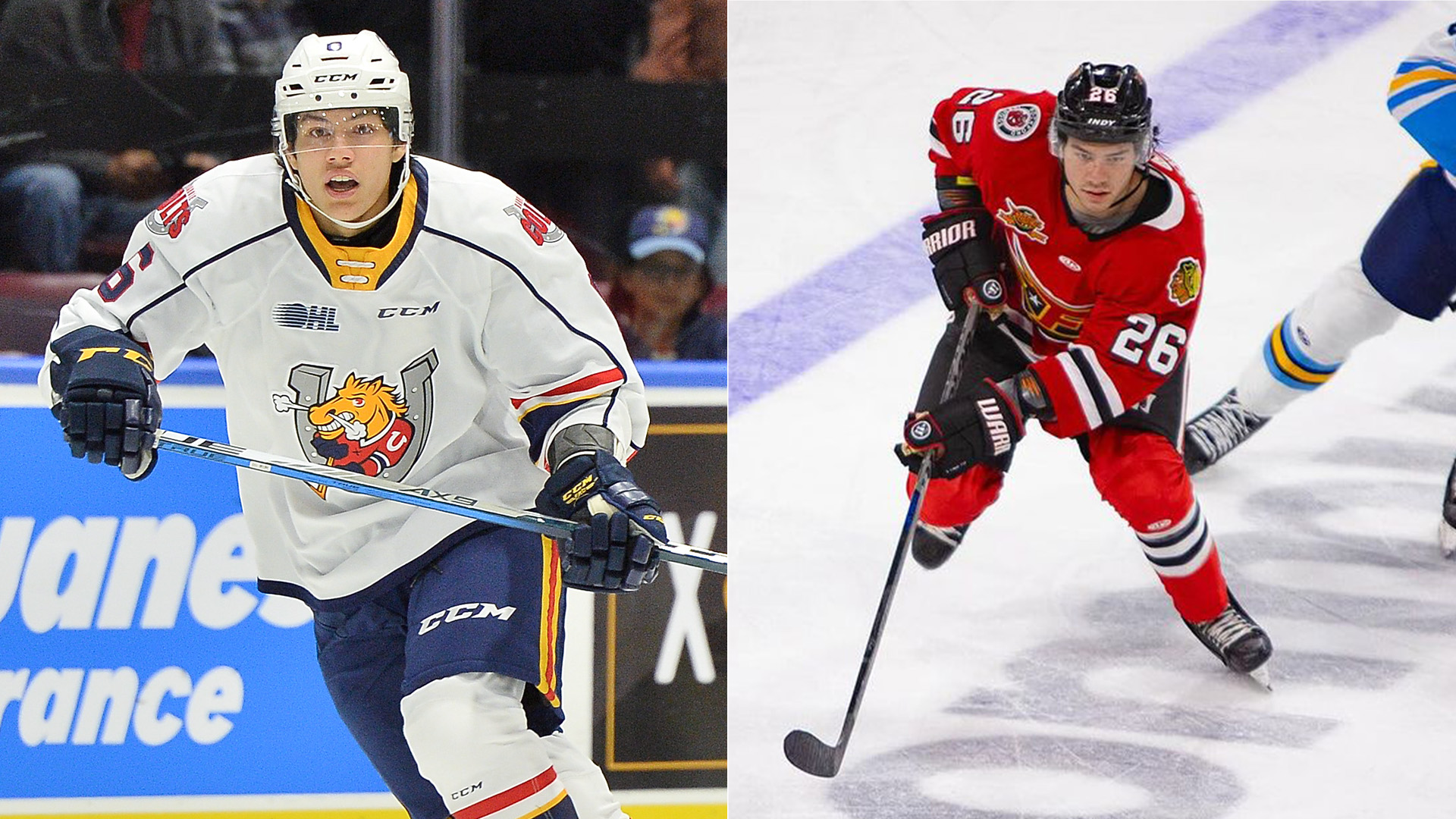 Hadfield Continuing Success in Pro Hockey - BVM Sports