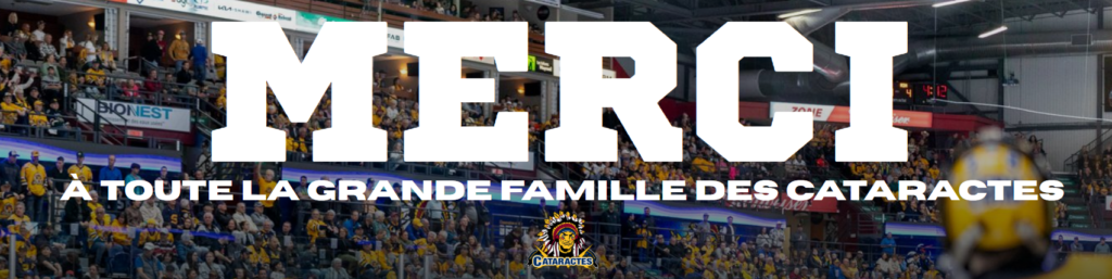 Cataractes de Shawinigan