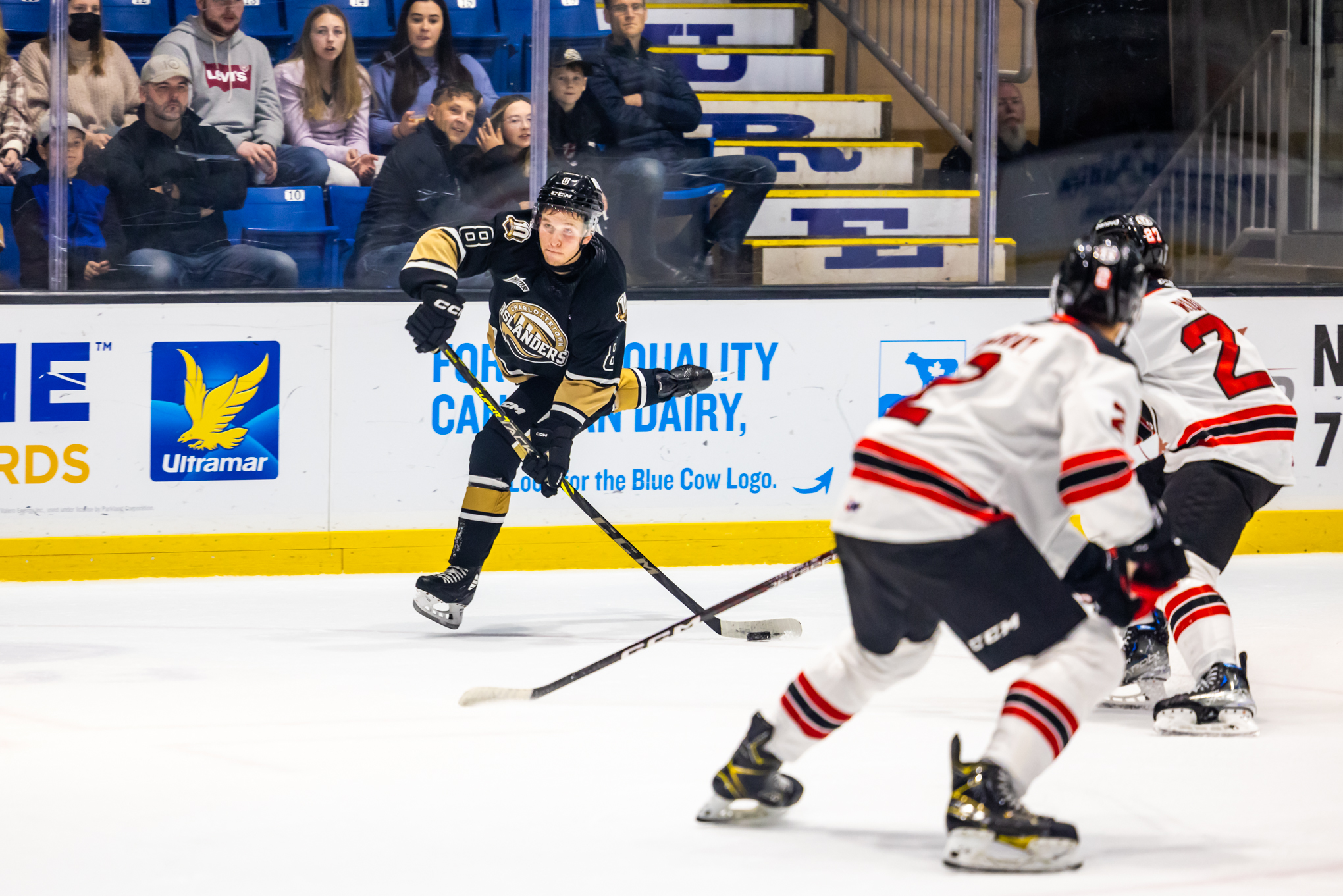 Isles hit the road with a three game set through Québec - Charlottetown ...
