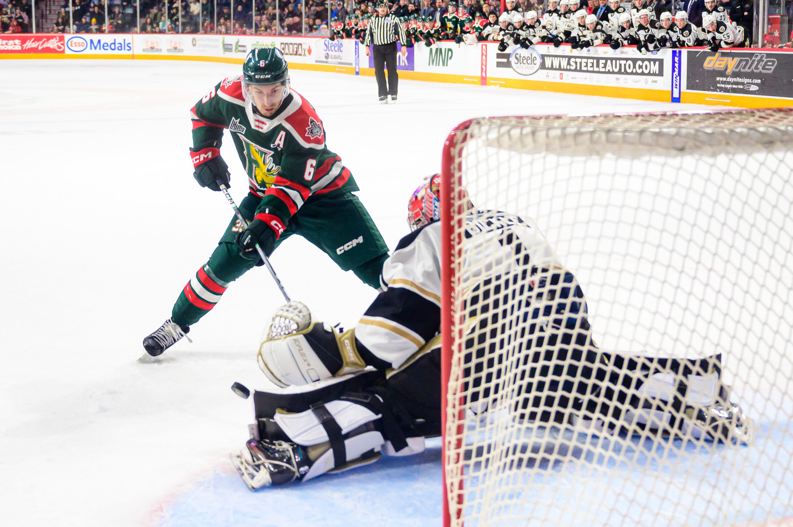 Isles return to the win column over the Halifax Mooseheads 2-1 in a ...