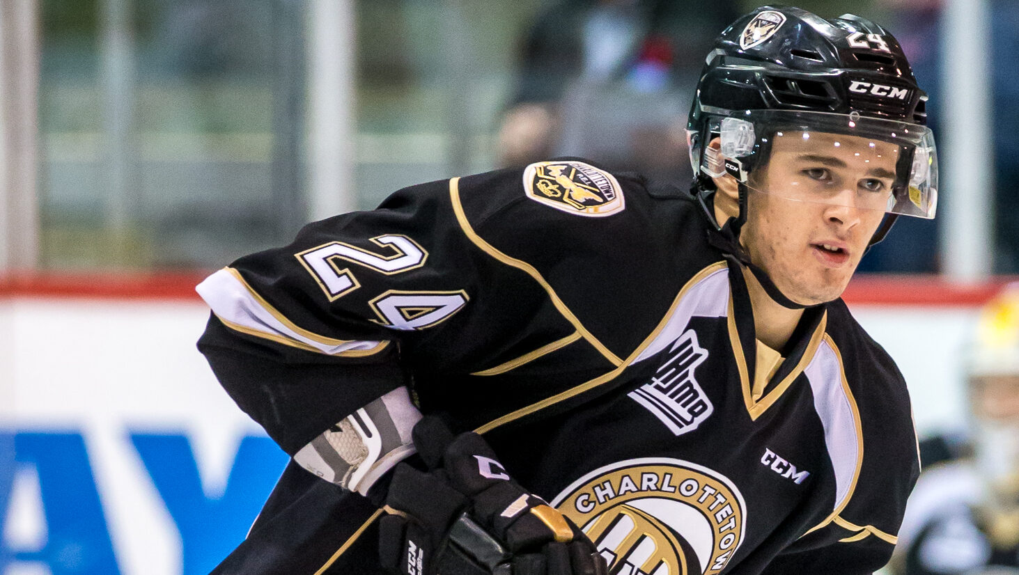 Where Are They Now | Mitchell Balmas - Charlottetown Islanders