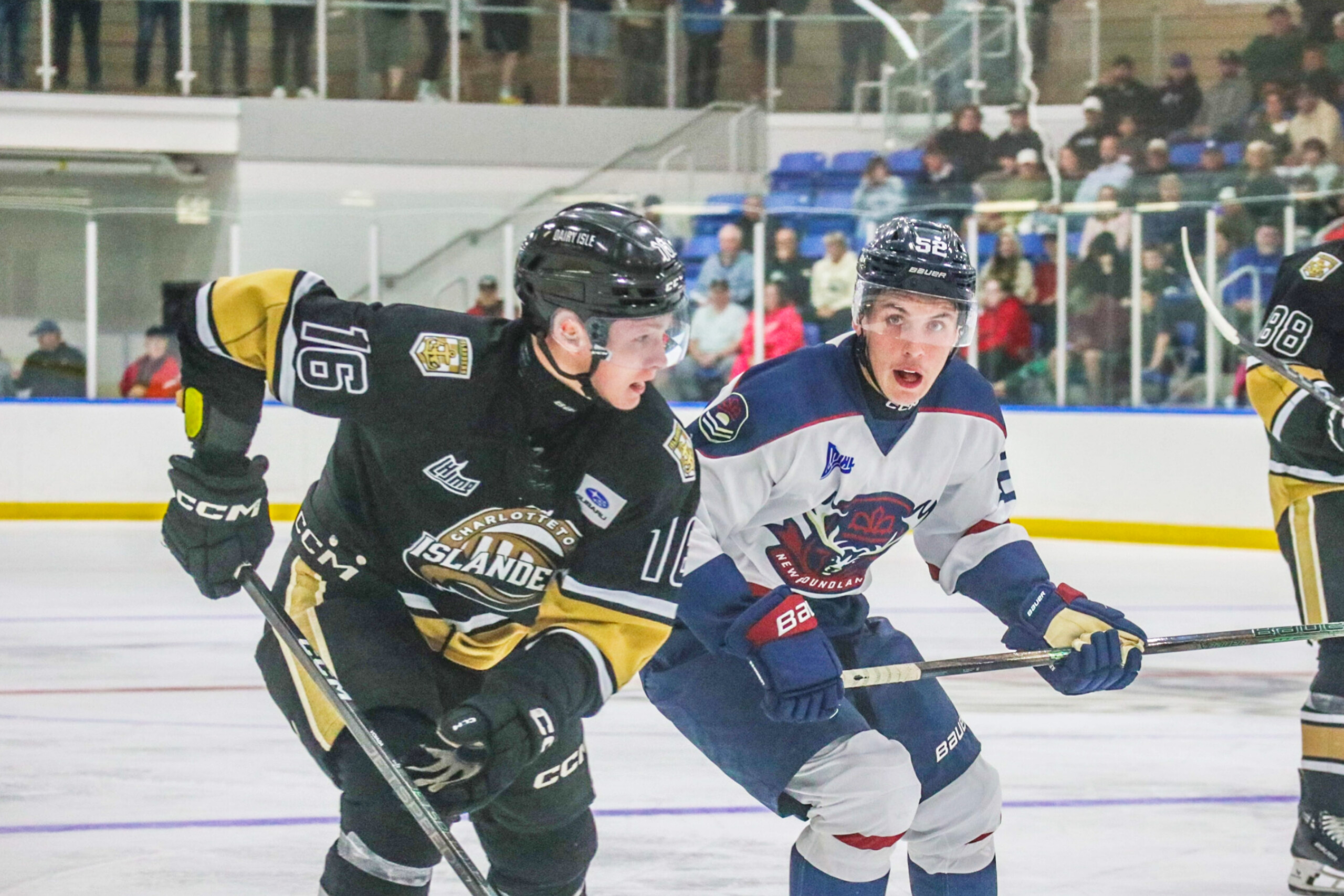 Charlottetown Islanders