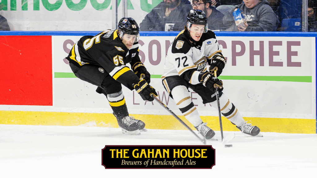 Islanders Complete Thrilling Comeback, Top Eagles in Shootout at Centre ...