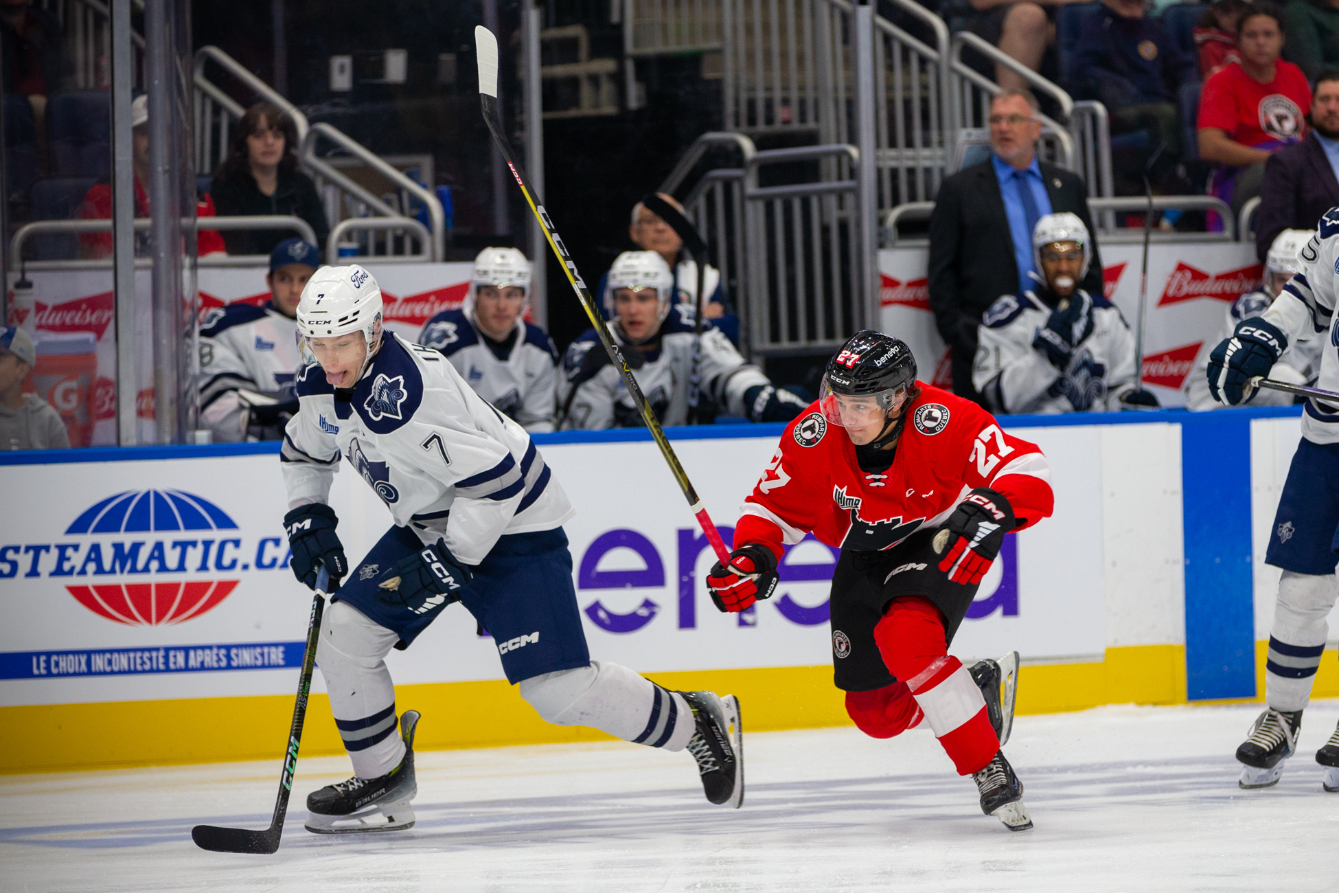 Rimouski l'emporte! Océanic 5 Remparts 3 - LHJMQ