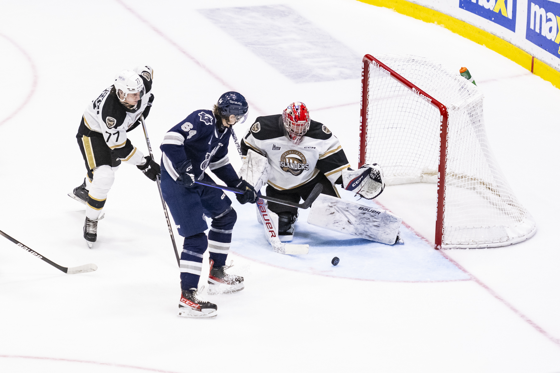 HIGHLIGHTS | Bickle rock solid in Rimouski - Charlottetown Islanders