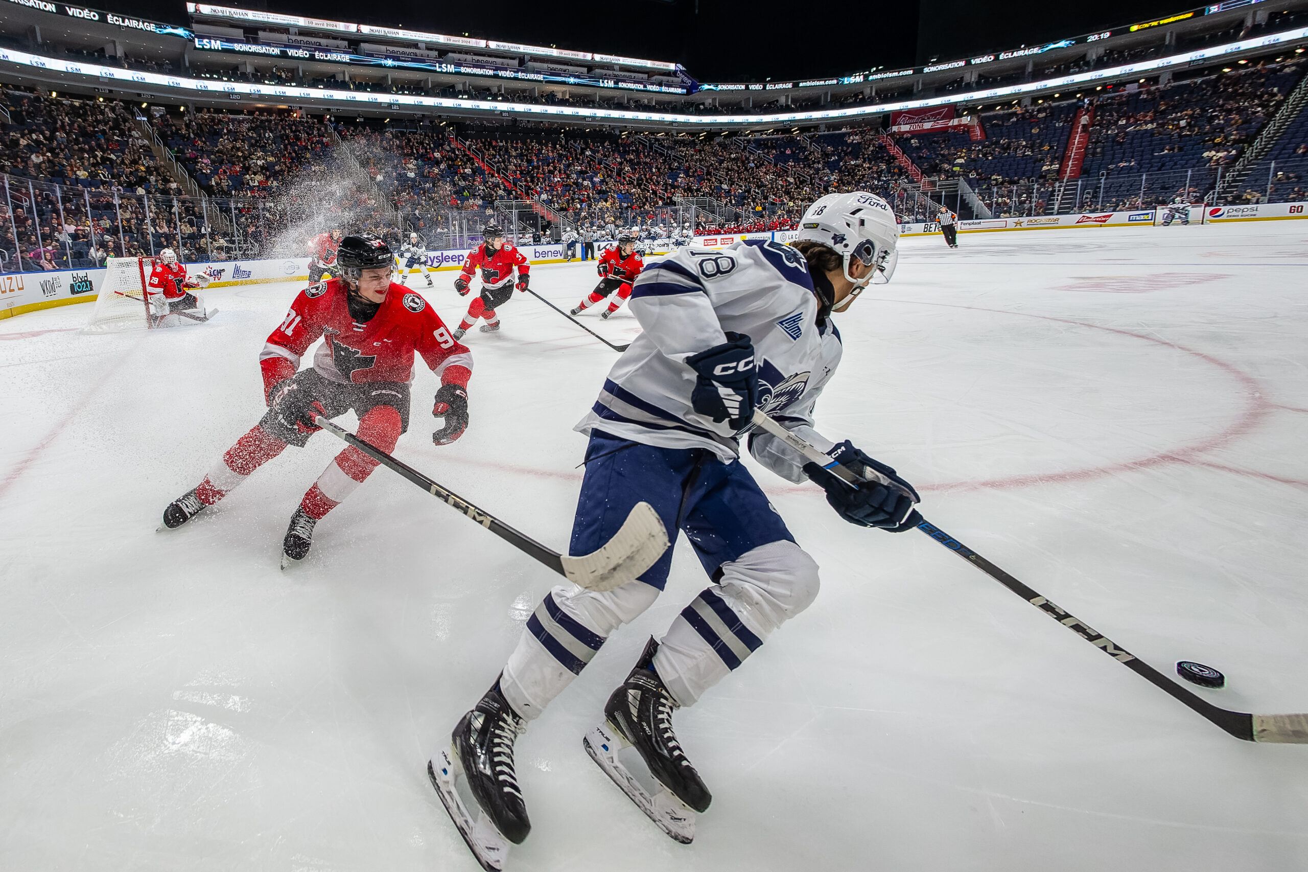 Rimouski s'occupe de Québec! Océanic 6 Remparts 4 - LHJMQ