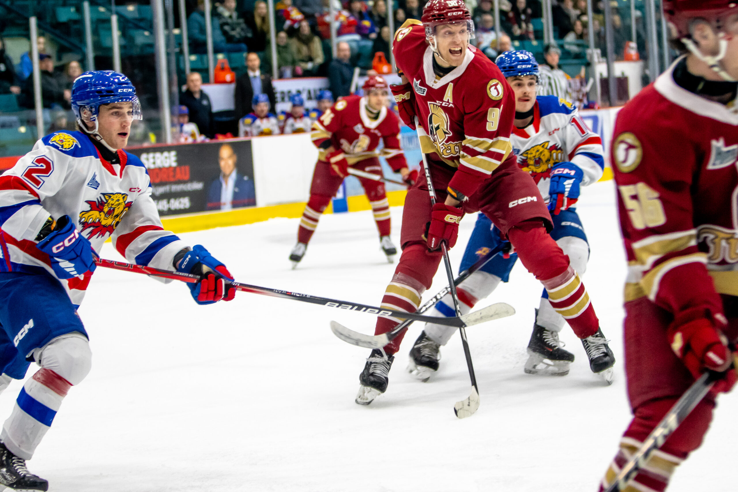 Four points for Milo Roelens! Titan 7 Wildcats 5 - LHJMQ