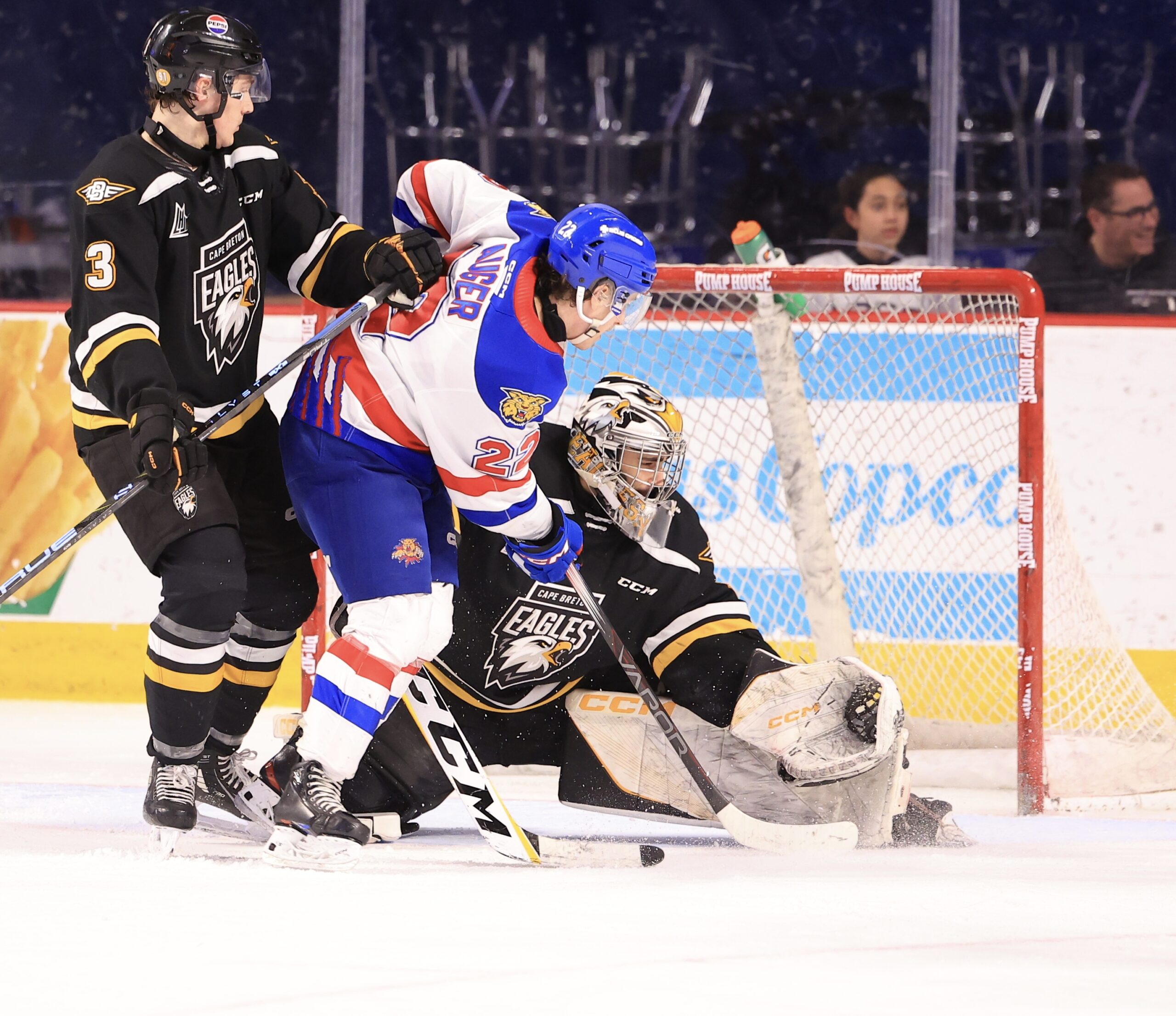 33 arrêts pour Ruccia! Eagles 4 Wildcats 1 - LHJMQ