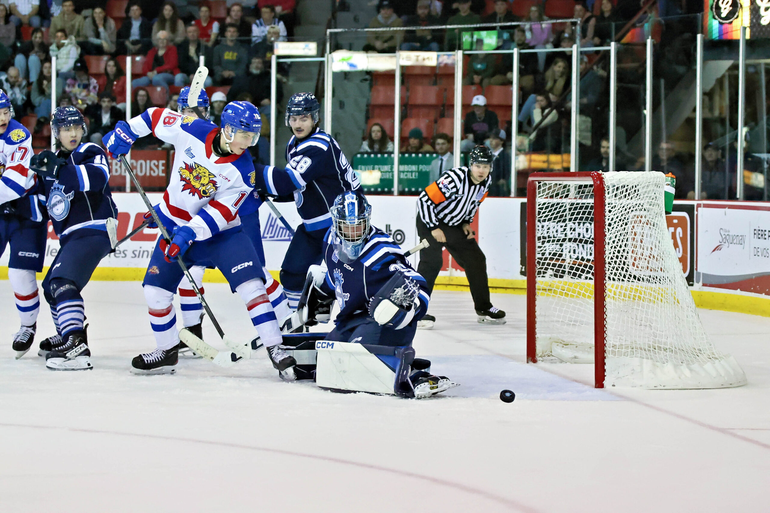 Chicoutimi l'emporte à la maison! Wildcats 2 Saguenéens 5 - LHJMQ