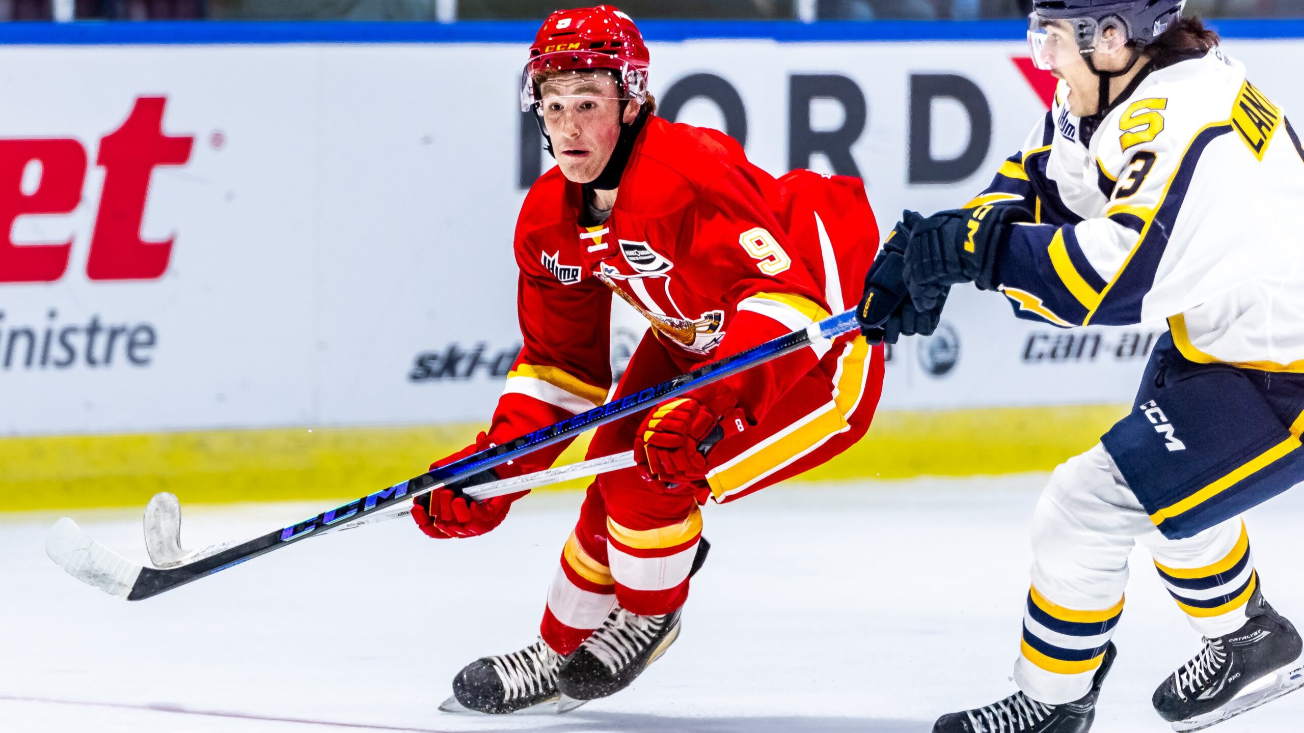 Jonathan Fauchon Official LHJMQ Profile and Stats