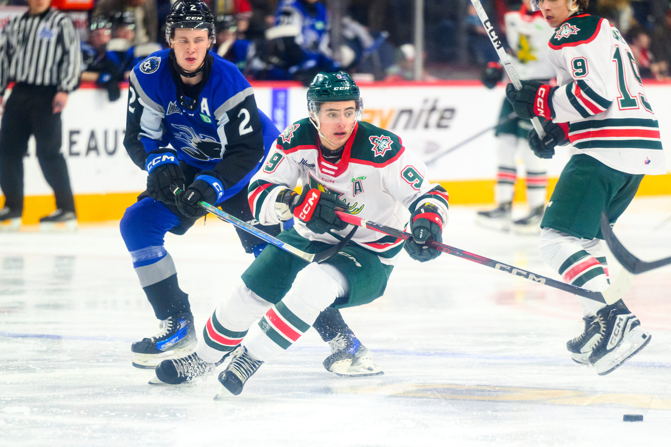 Classement du Top 10 de la LCH 2024-2025 : 2e semaine - LHJMQ