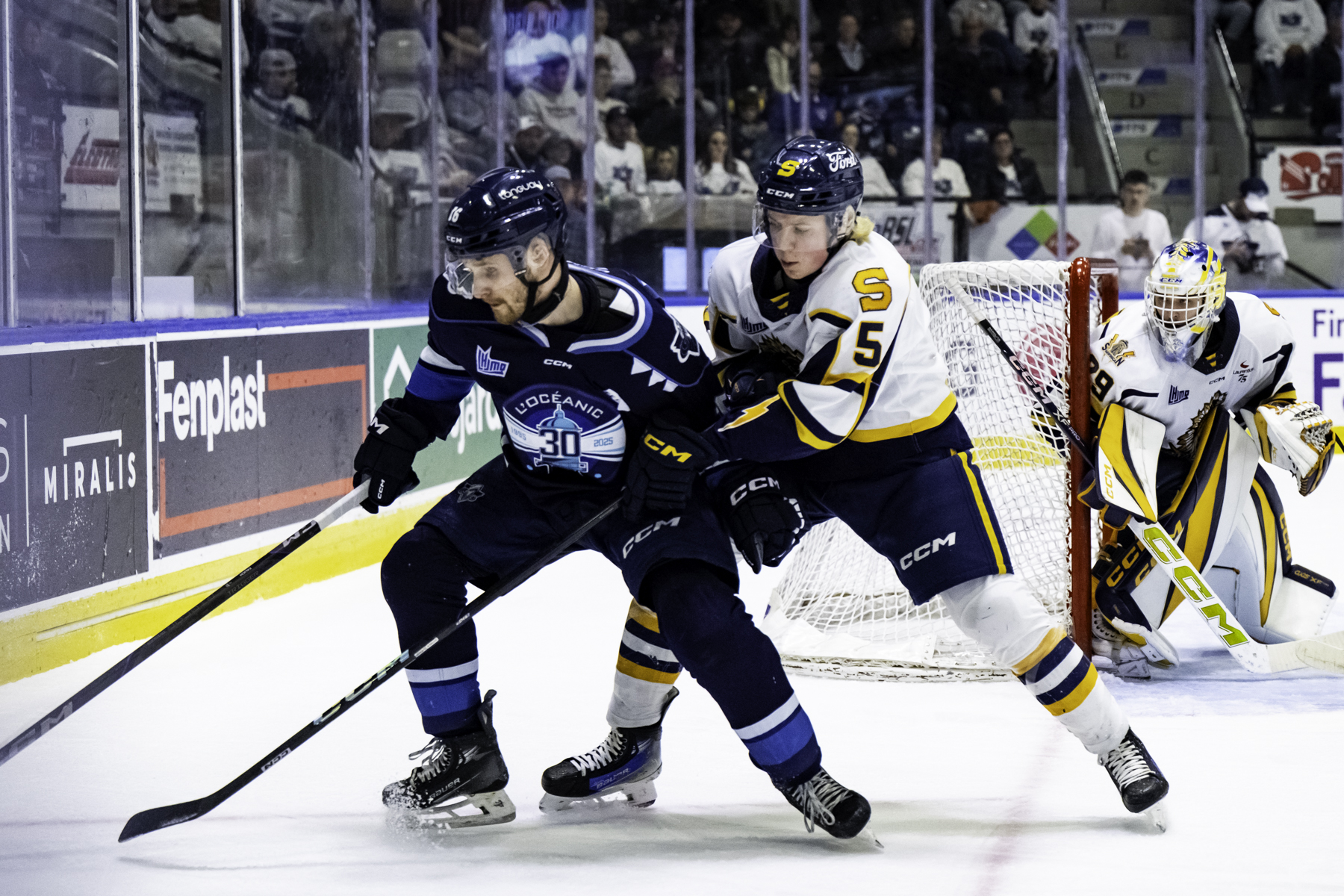 Mathieu étincelant, Langevin parfait ! Shawinigan 0 Rimouski 7 - LHJMQ