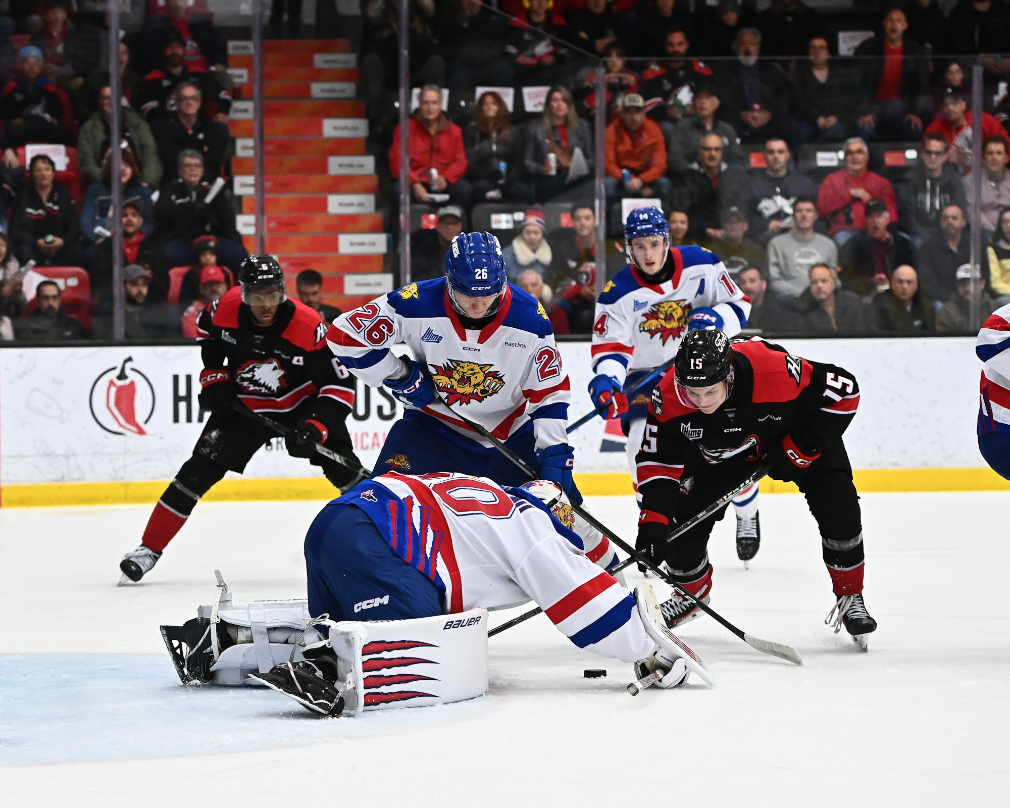 Moncton en doit une à Mathis Rousseau! Wildcats 4 Huskies 3 - LHJMQ