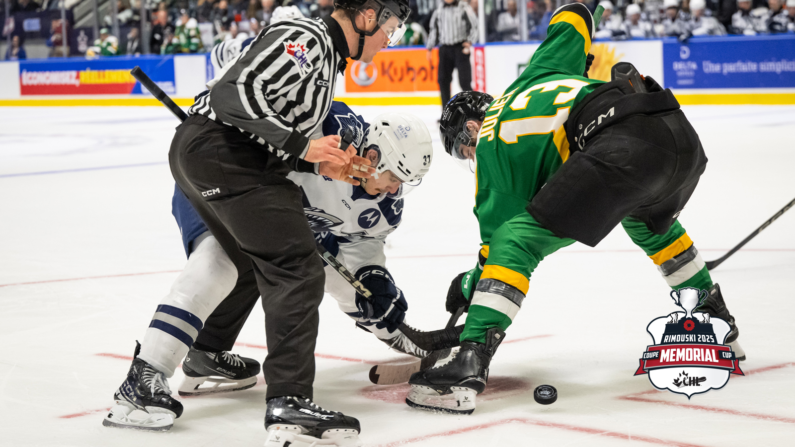 Rimouski on losing end of hard-fought battle with Knights - LHJMQ
