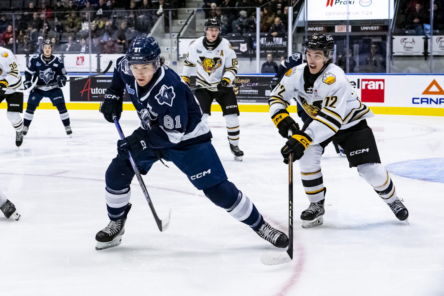 Nos 20 ans – Océanic de Rimouski - LHJMQ