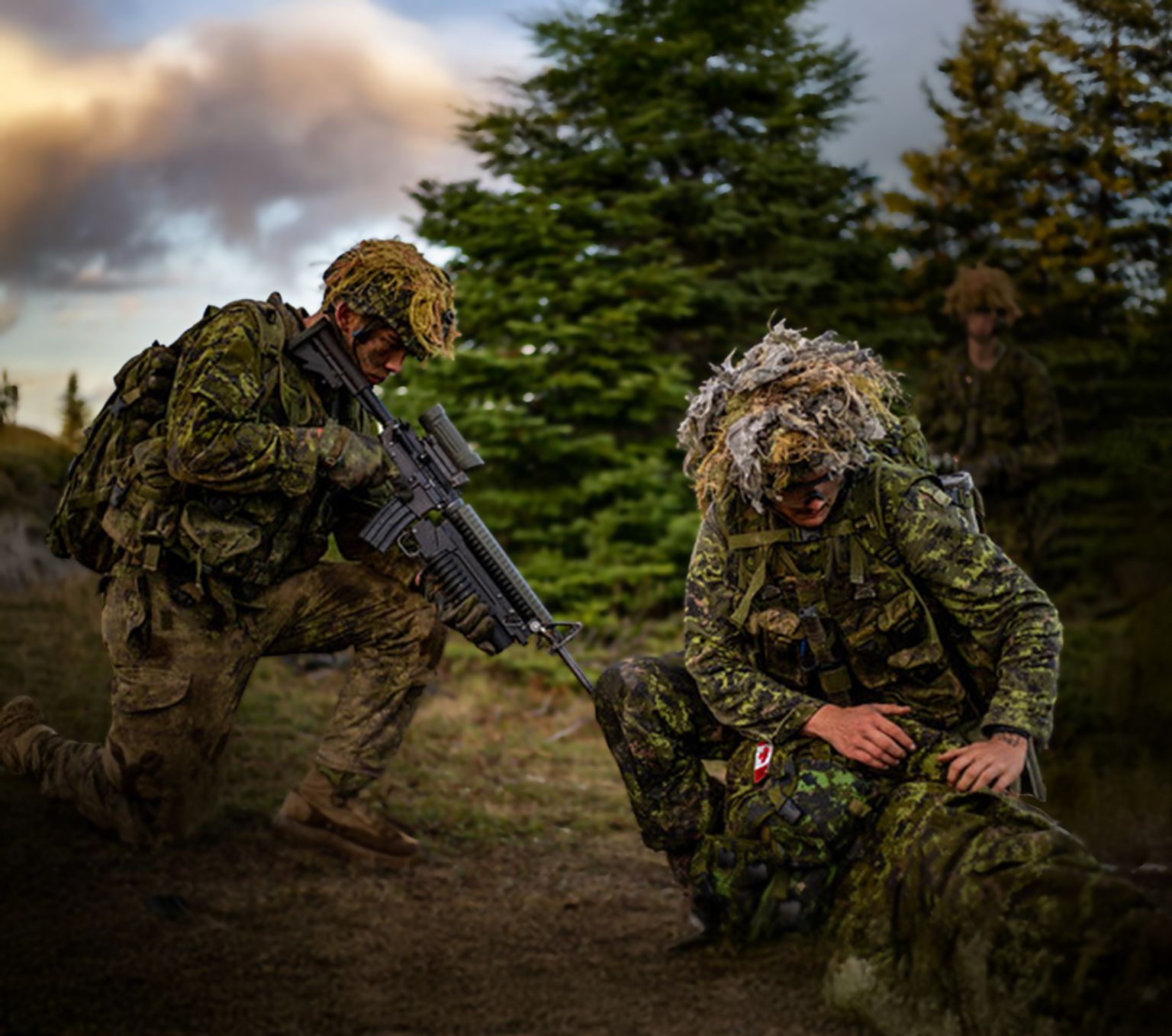 Honouring The Past - Newfoundland Regiment