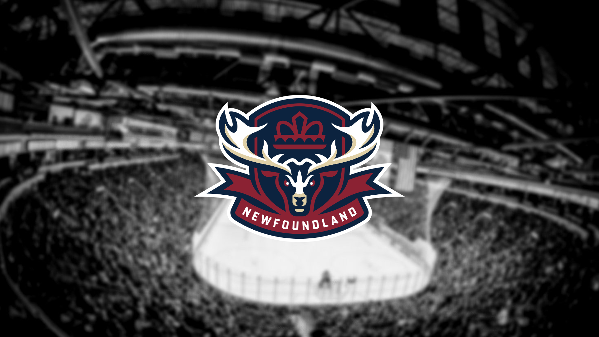 Newfoundland Regiment Announce Series of Key Front Office Hires ...