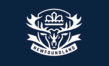 Playoffs - Newfoundland Regiment