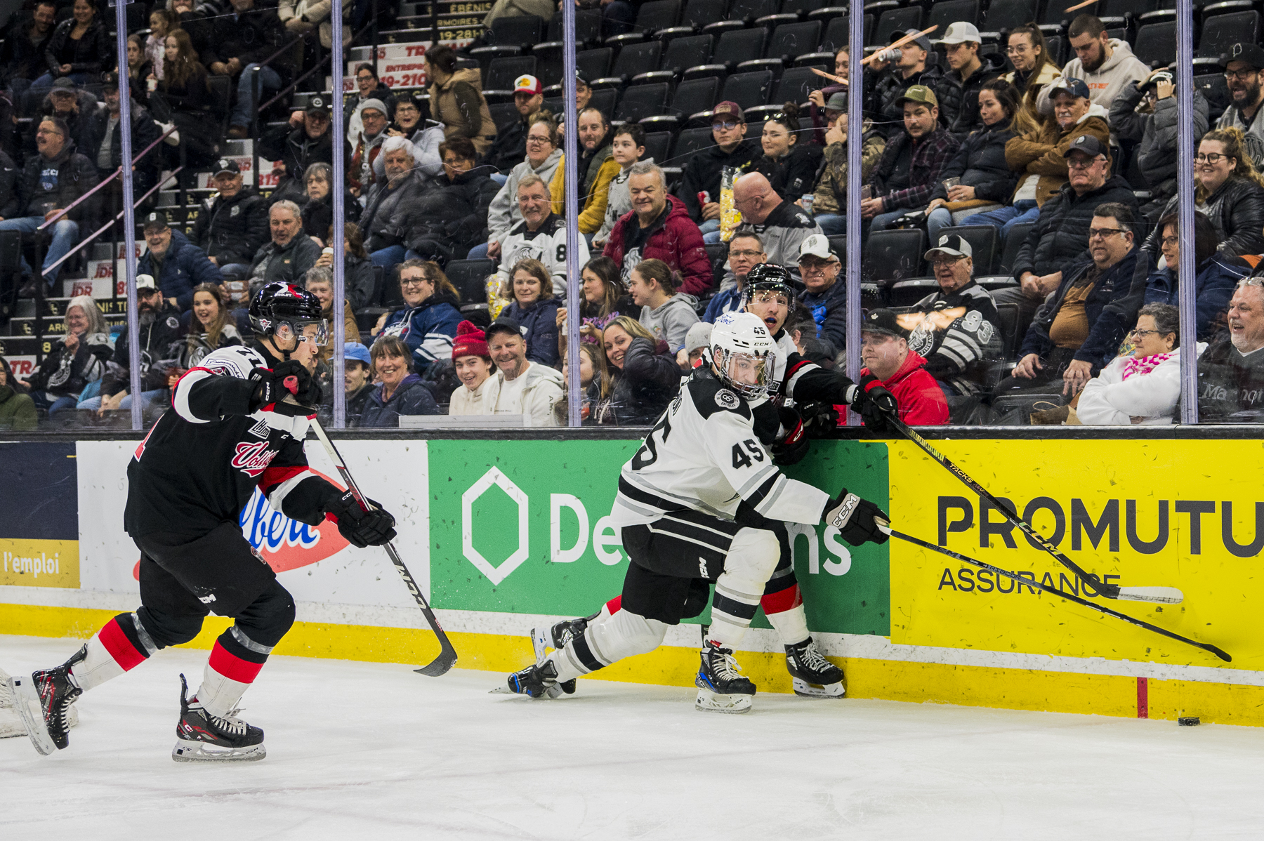 The Olympiques lose a hard-fought game - Les Olympiques de Gatineau