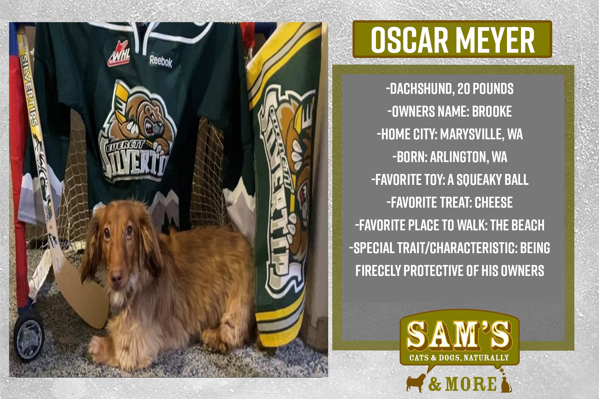 SAM'S GREAT SMALL DOG RACE SERIES - Everett Silvertips