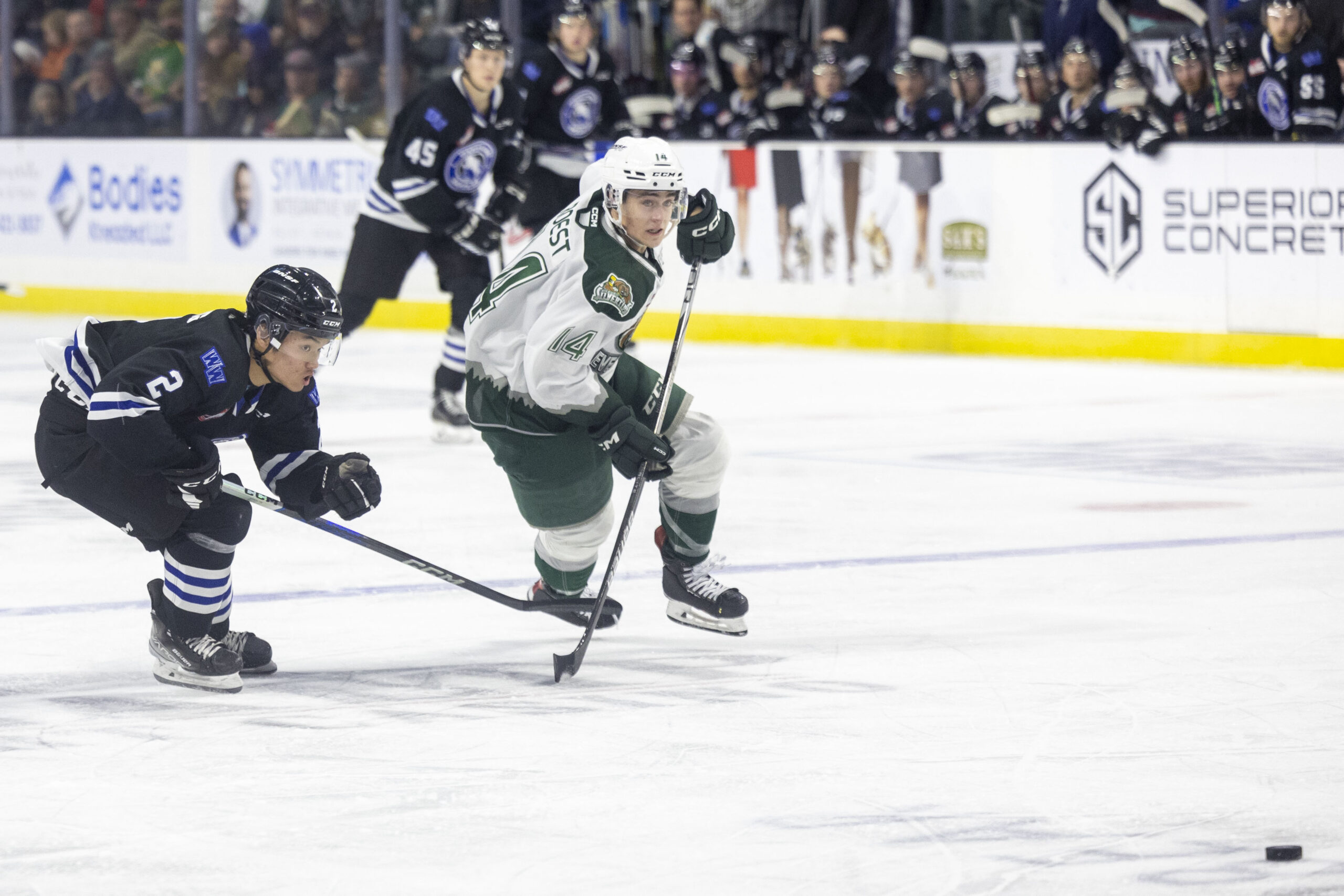 GAME RECAP: Tips rally to grab point in 4-3 OT loss to Wild - Everett ...