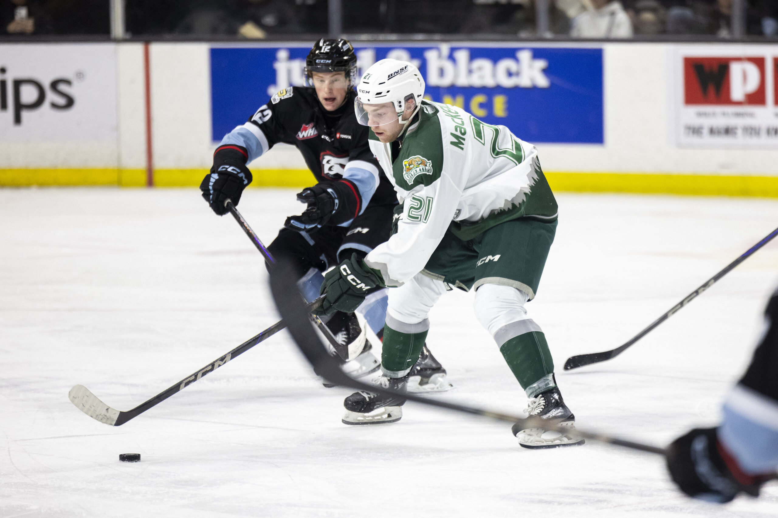 Everett Silvertips 2024 - 25 Regular Season Schedule