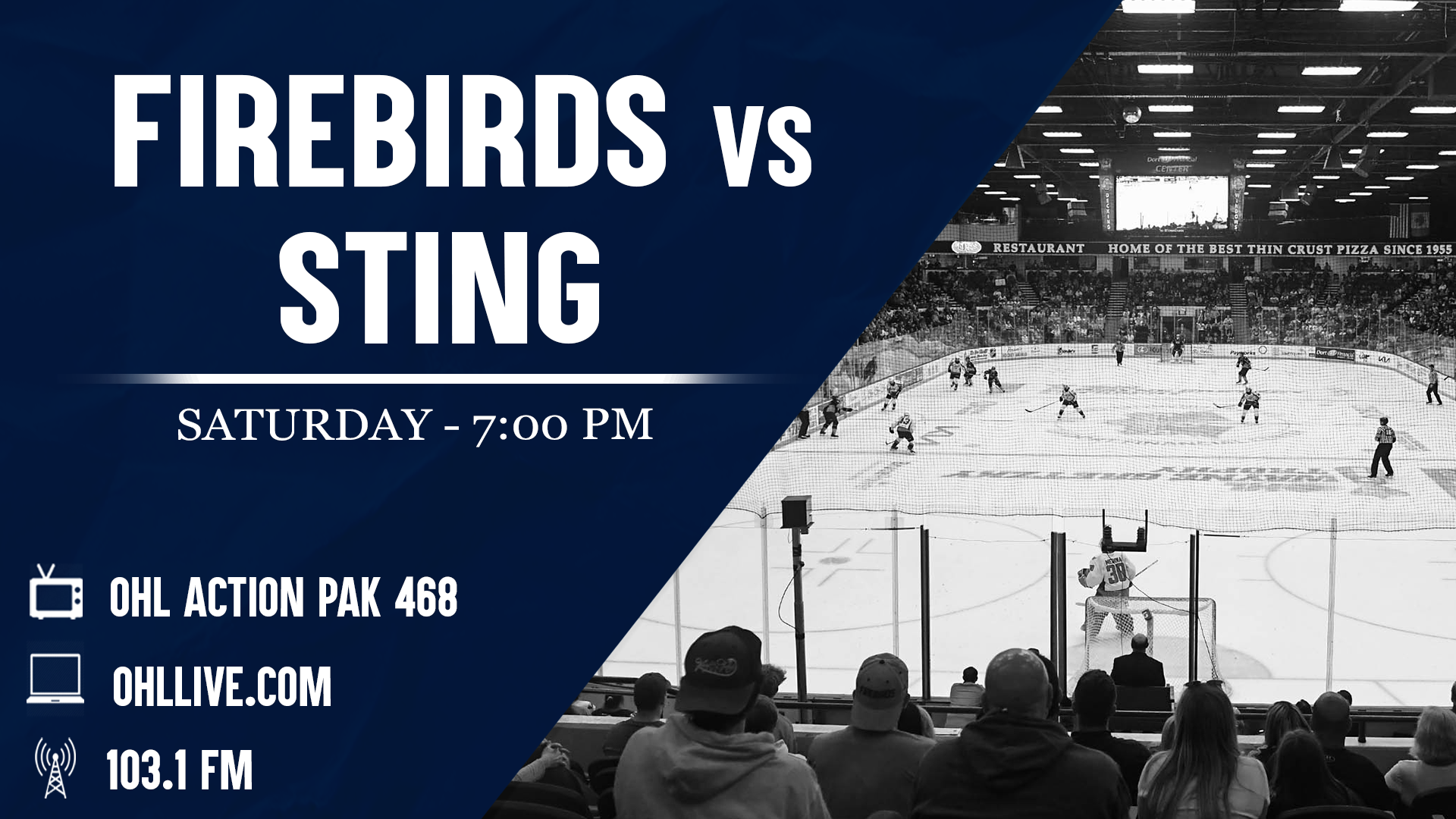 PREVIEW: Firebirds Conclude Regular Season on Saturday Night vs Sting ...