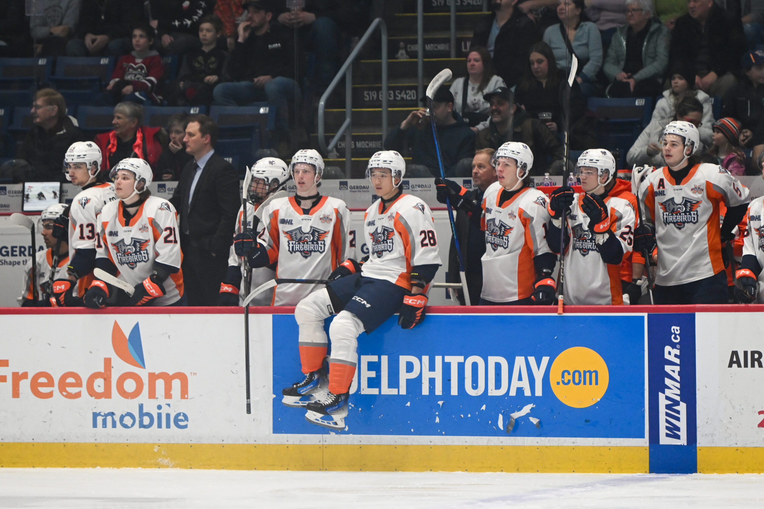 Flint Firebirds