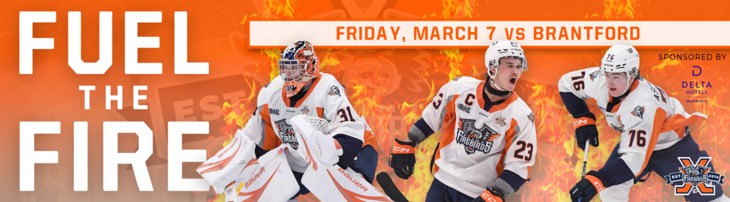 FIREBIRDS ROSTER - Flint Firebirds