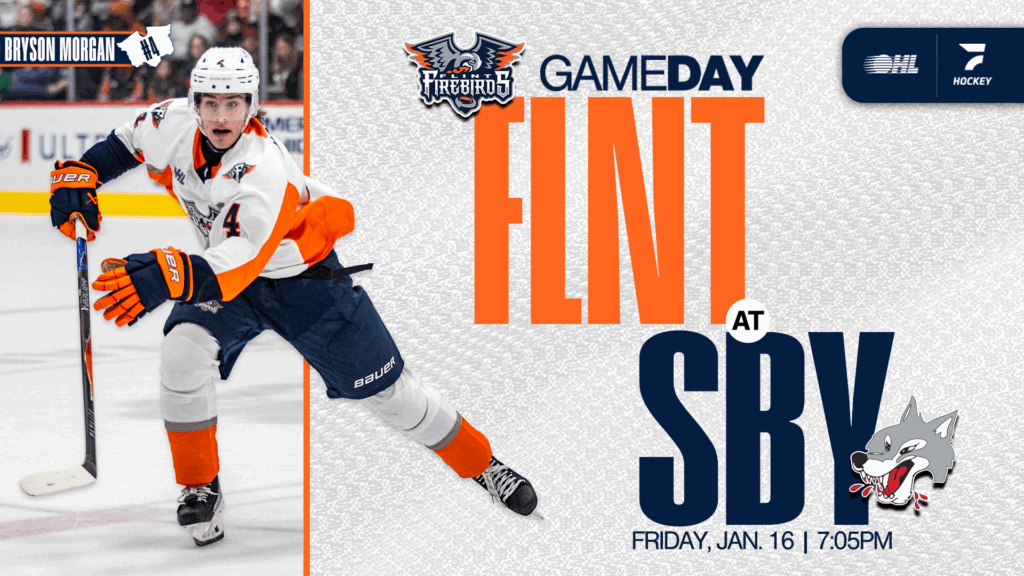 GAME DAY, Game 44, Firebirds at Wolves – 7:05 p.m. - BVM Sports