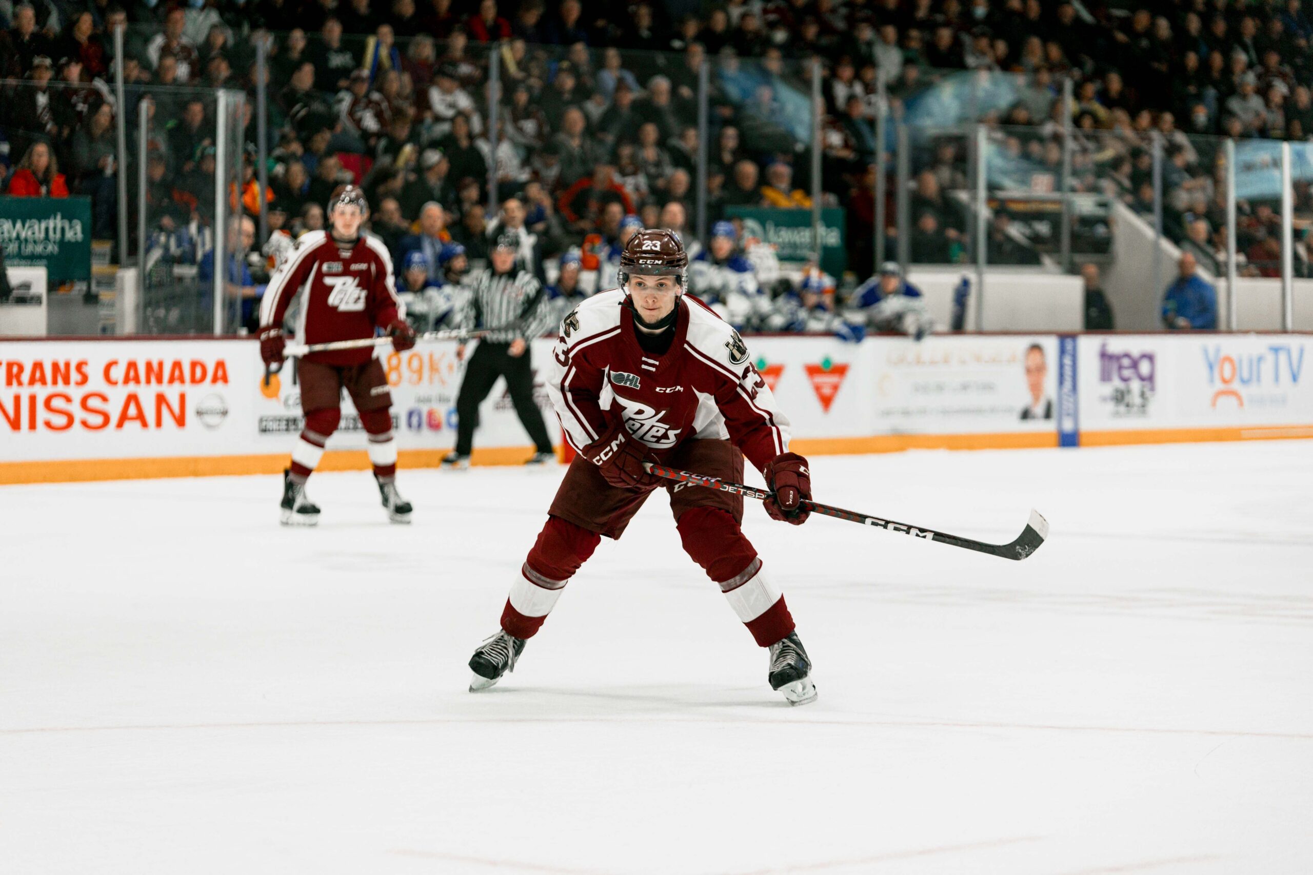 Melee Leads the Way with a Goal and Two Assists as Petes Gain First Win ...