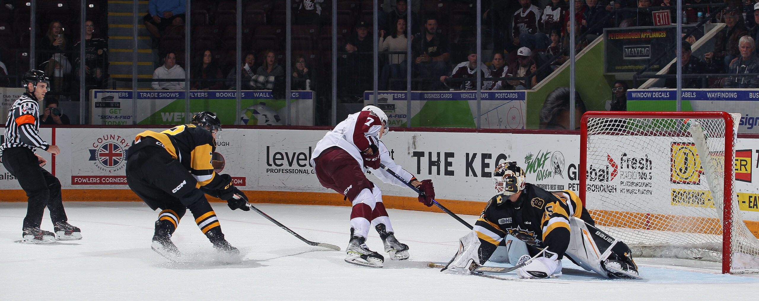 McCue Scores Twice as Petes Beat Bulldogs in Overtime - Peterborough Petes