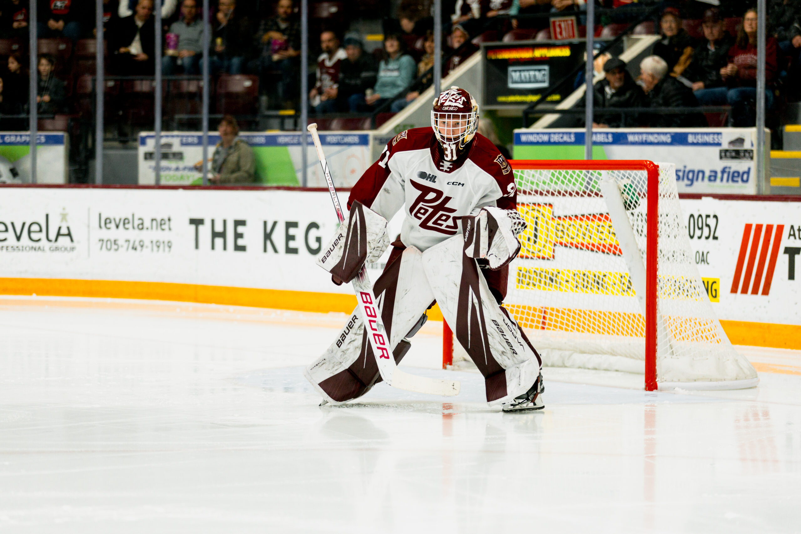 Bowen Stops 33/36 in Road Loss to Colts - Peterborough Petes