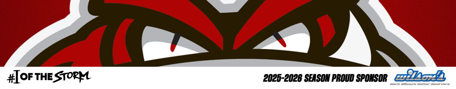 Tag Bertuzzi - Guelph Storm