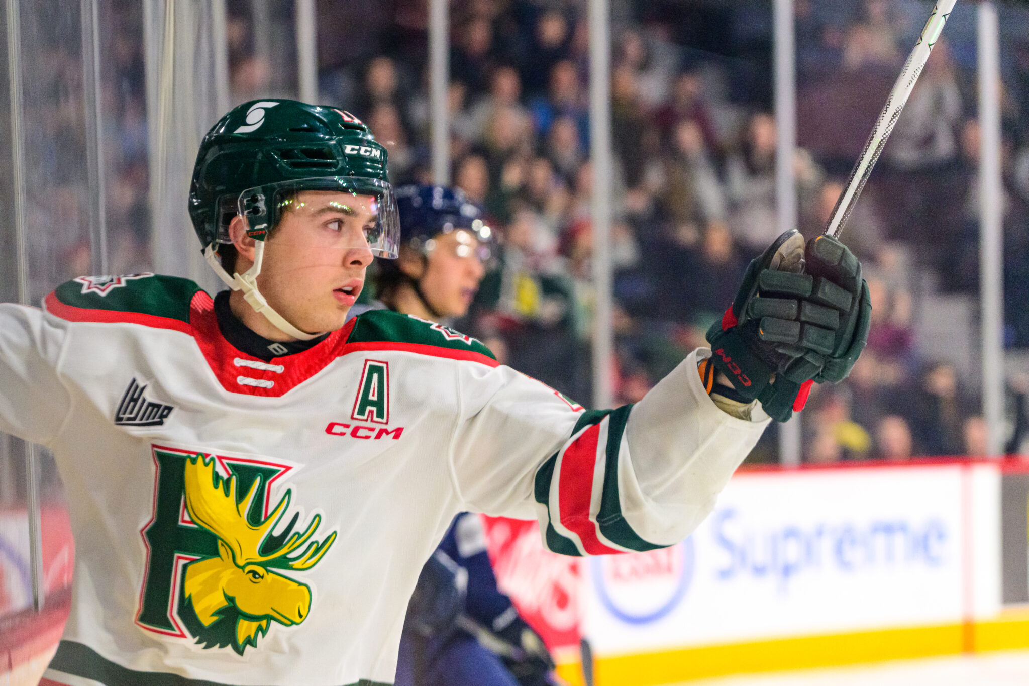 Breaking down the Training Camp roster - Halifax Mooseheads