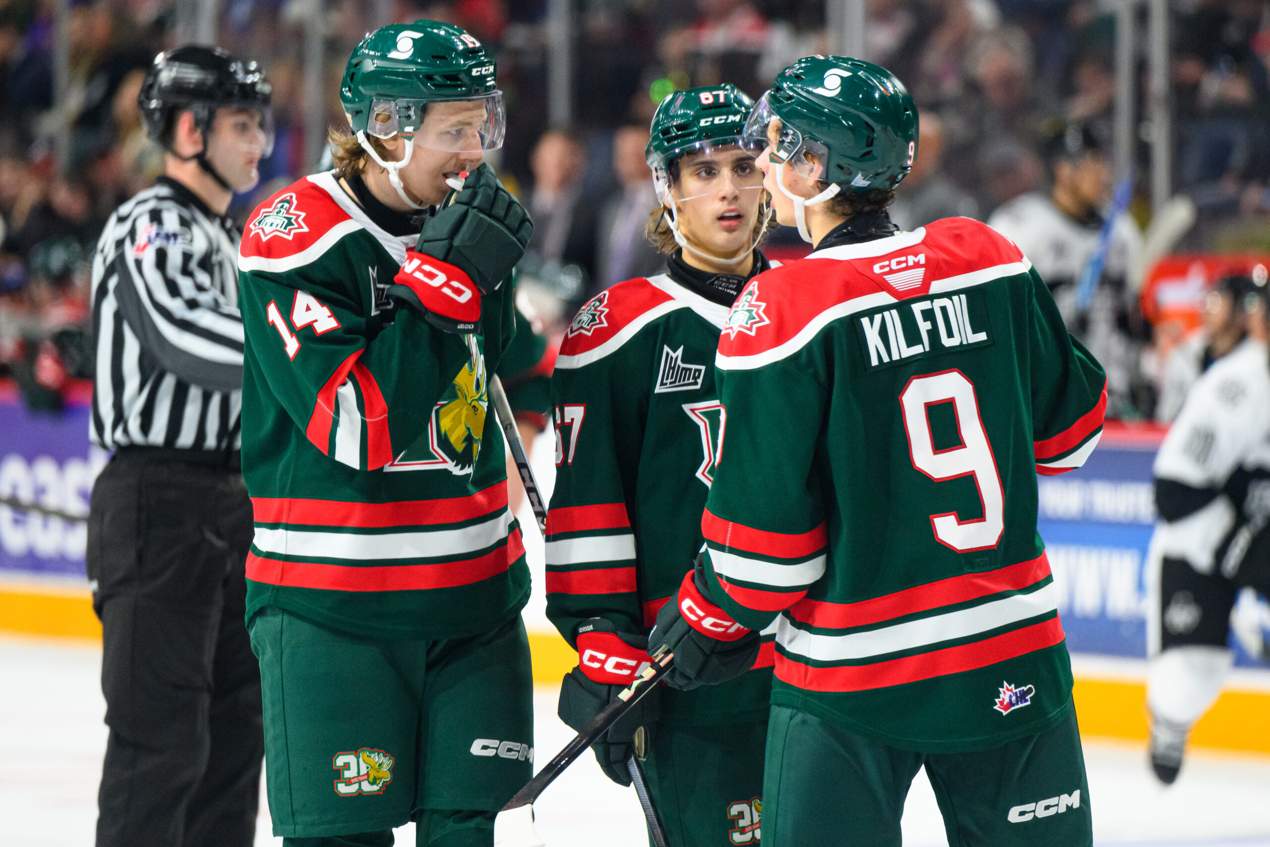 Moose put streak on the line on the road - Halifax Mooseheads