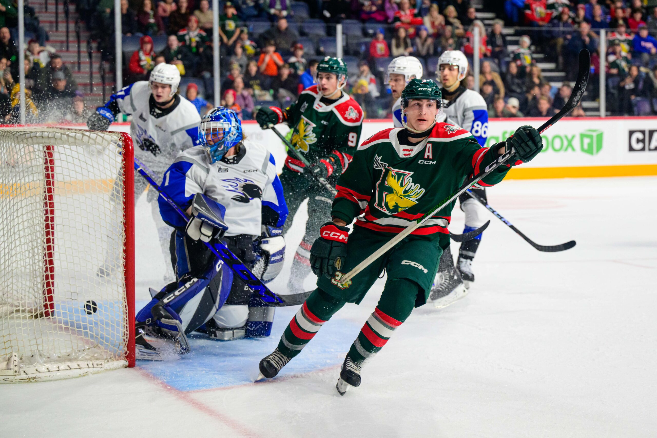 Schultz puts Moose back in the win column - Halifax Mooseheads