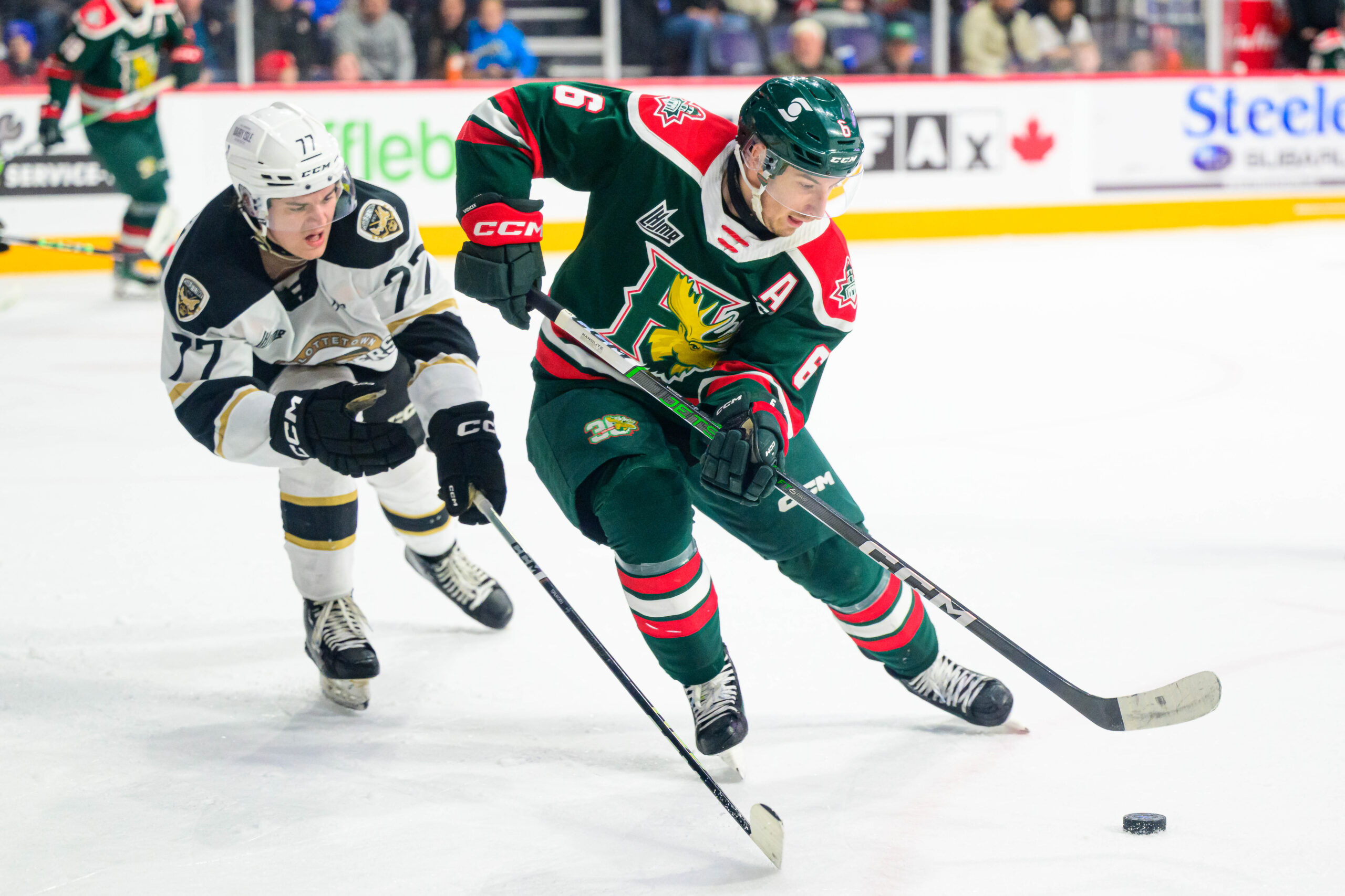 Islanders steal one from Milner & the Mooseheads - Halifax Mooseheads