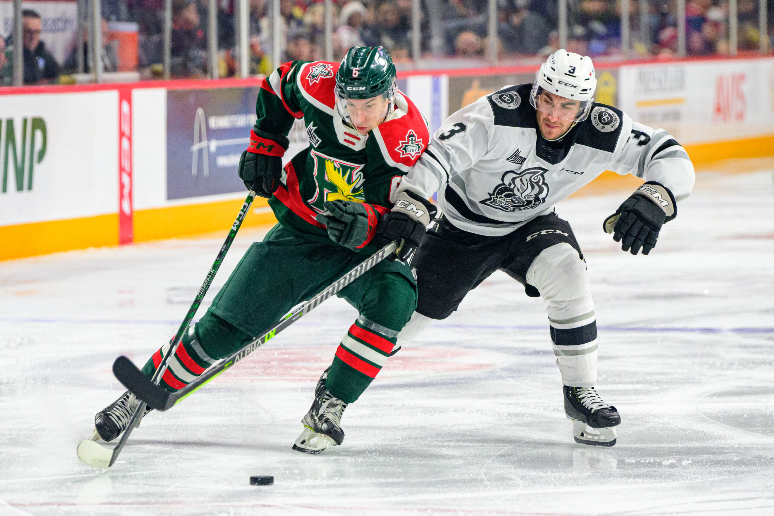 ROAD PREVIEW: Mooseheads visit Gatineau Friday - Halifax Mooseheads