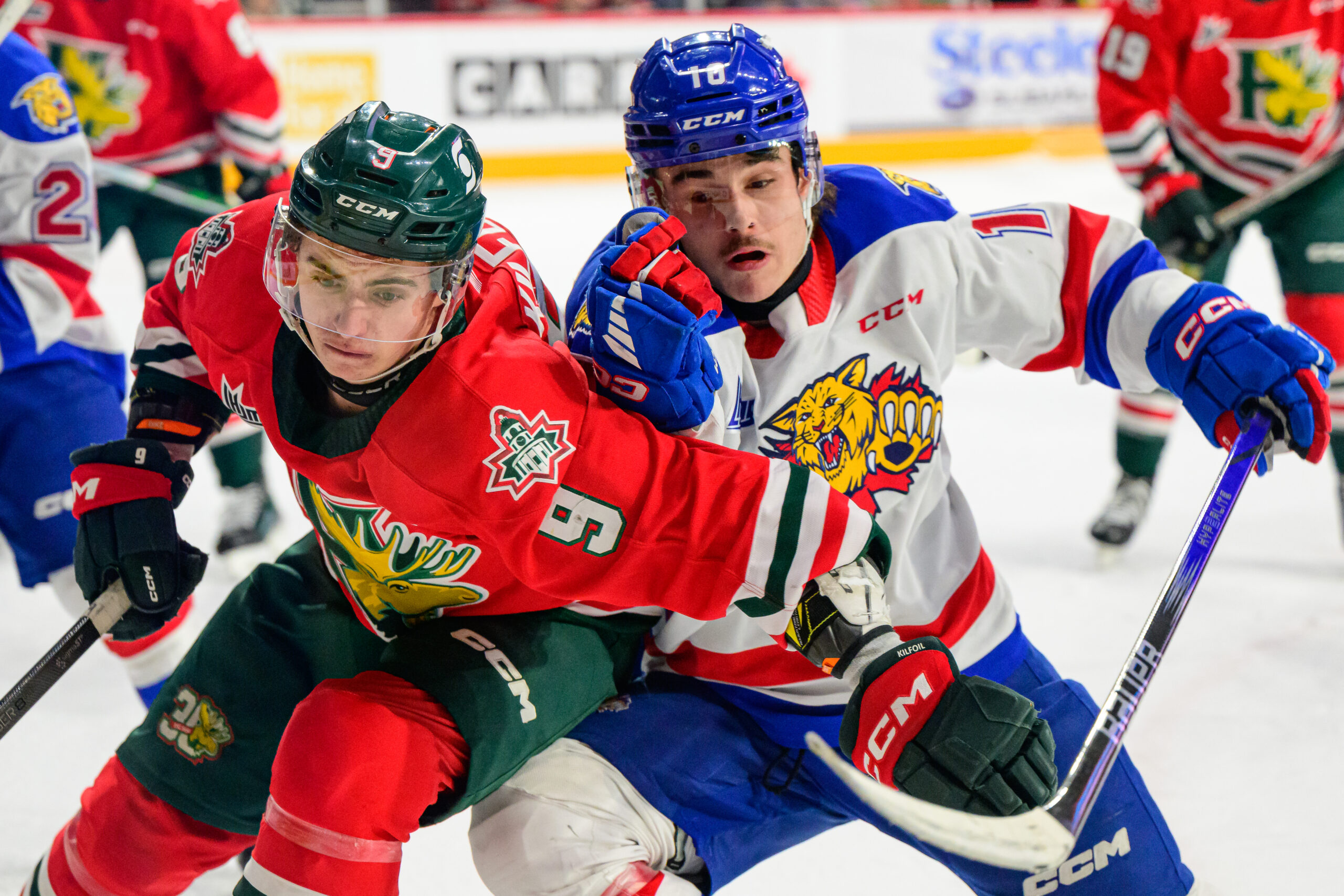 PREVIEW: Mooseheads VS Moncton Sunday - Halifax Mooseheads