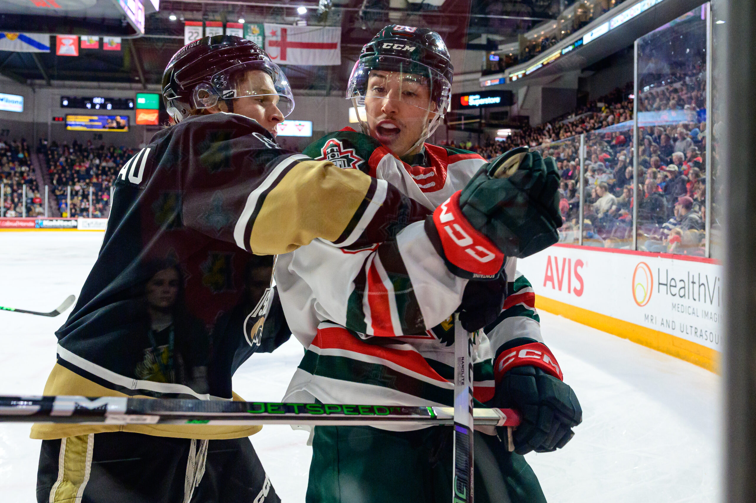 PREVIEW: Mooseheads VS Charlottetown Tonight 7pm - Halifax Mooseheads